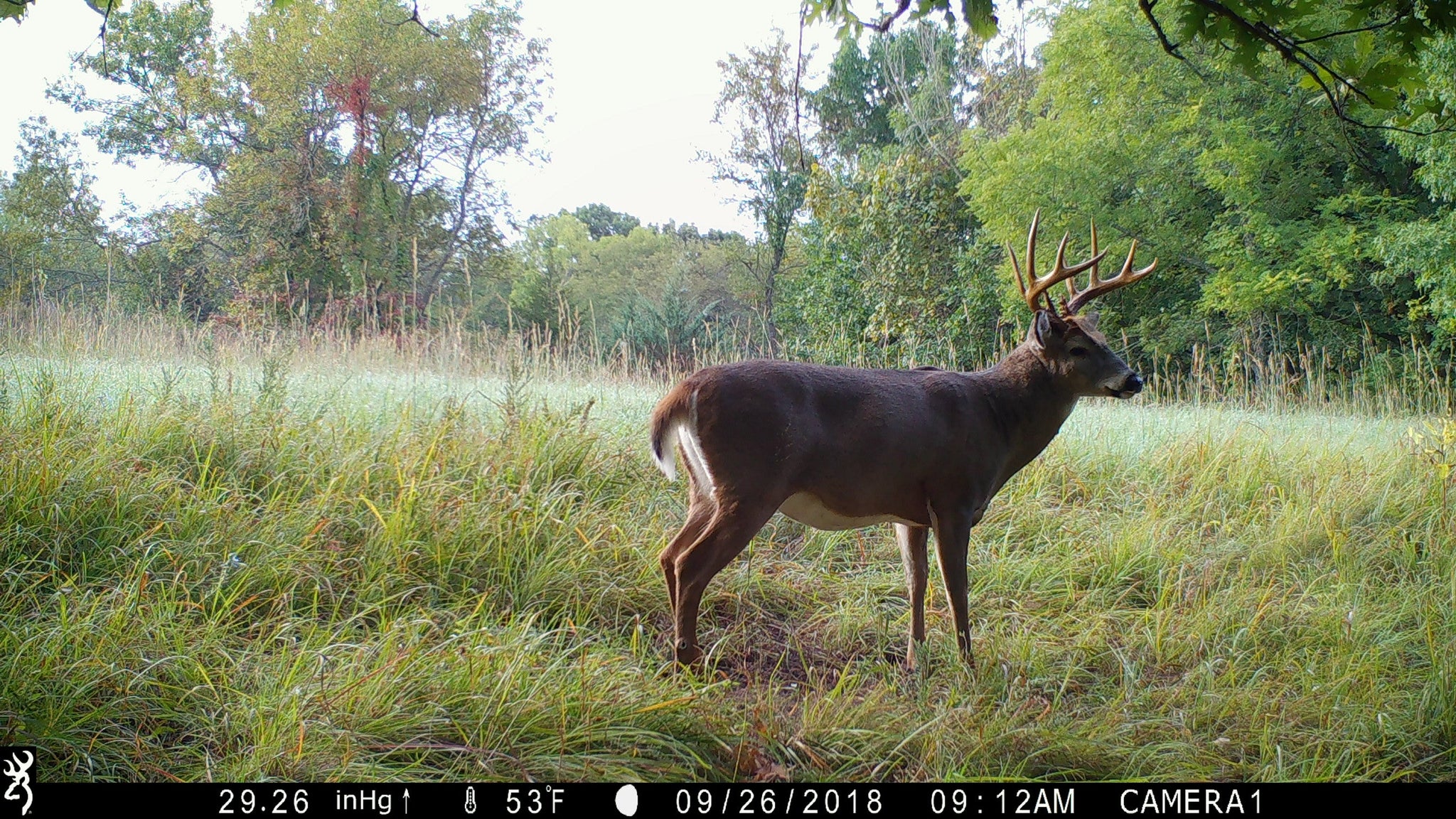 How To Get Started Whitetail Deer Hunting – Browning Trail Cameras