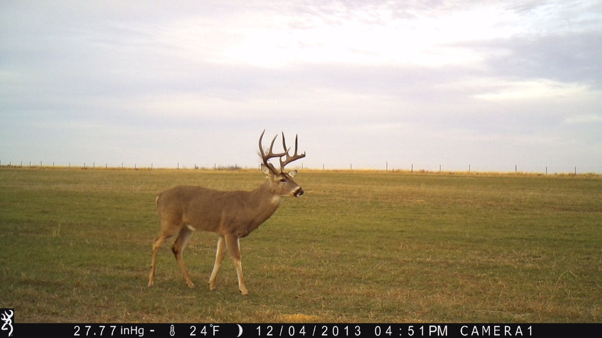 November Whitetail Hunting Tactics – Browning Trail Cameras