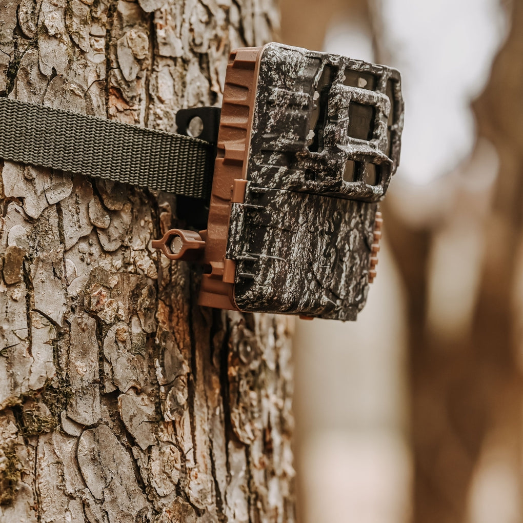 Non-Cellular Cameras – Browning Trail Cameras