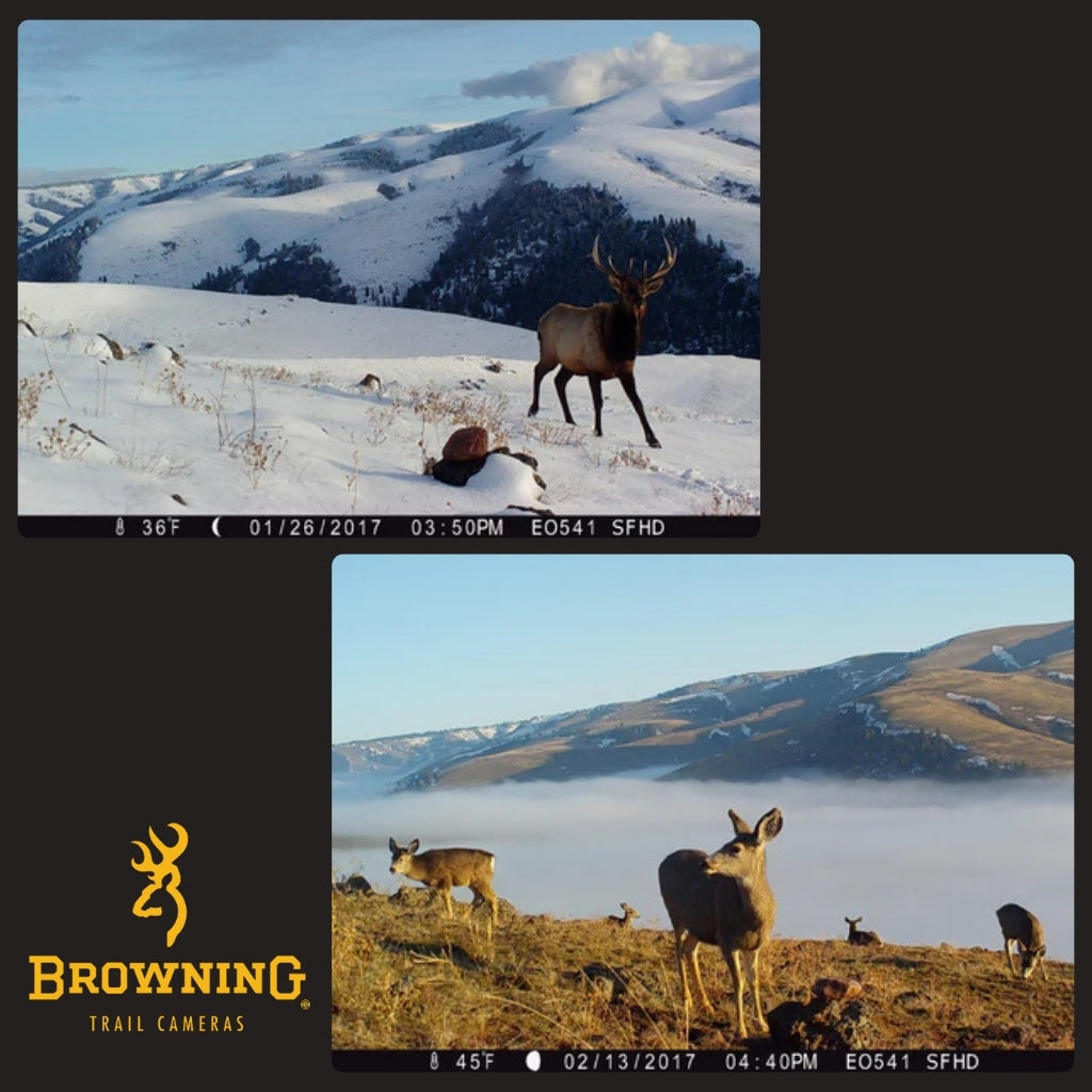 Strike Force Pro X 1080 – Browning Trail Cameras