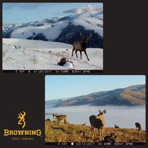 Strike Force Pro X 1080 – Browning Trail Cameras