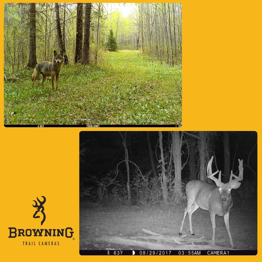 Strike Force Pro X 1080 – Browning Trail Cameras