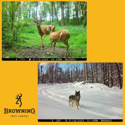 Recon Force Elite HP5 Ultra – Browning Trail Cameras