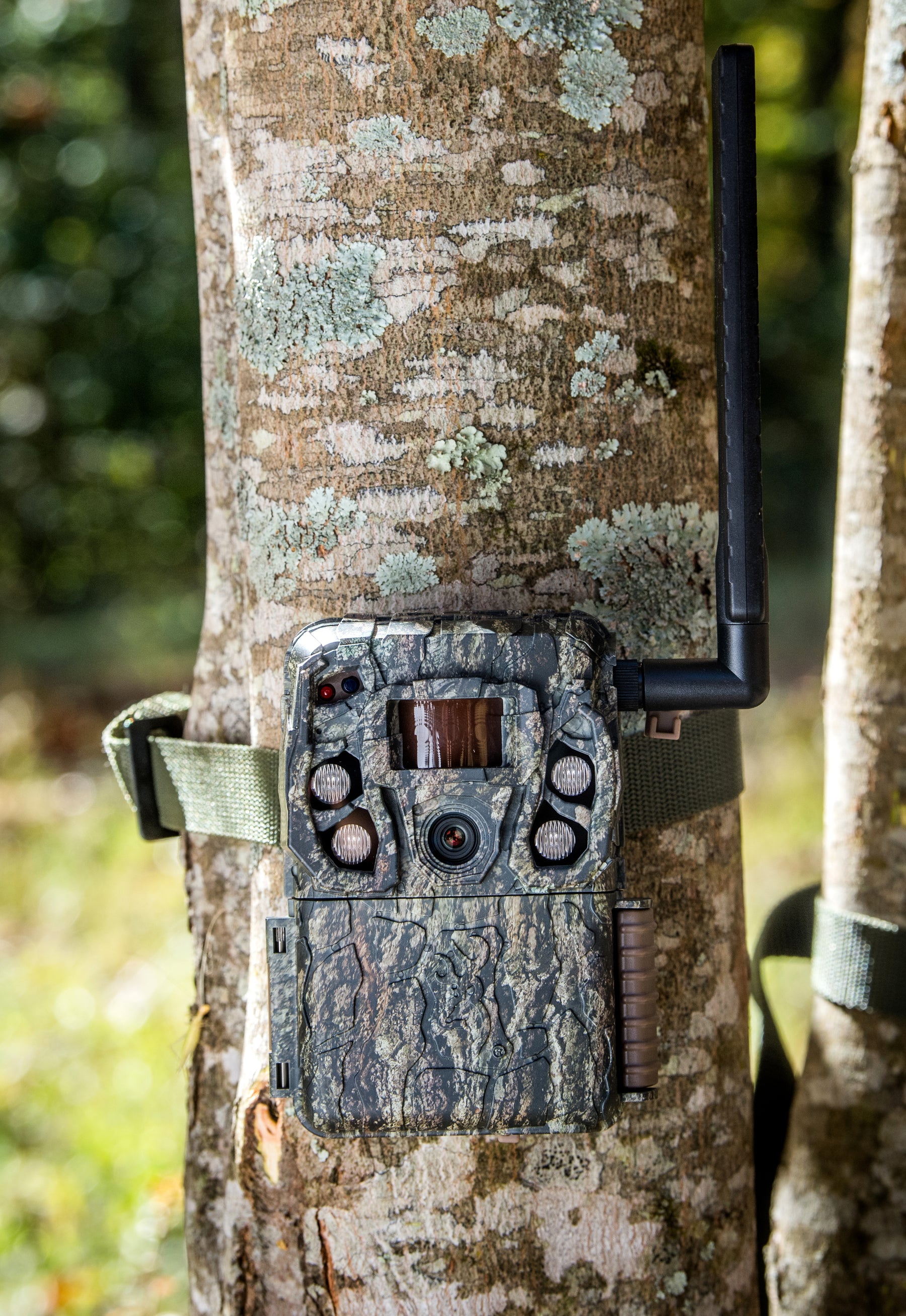 Browning Trail Cameras