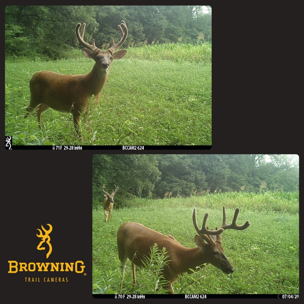 Defender Pro Scout Max HD – Browning Trail Cameras